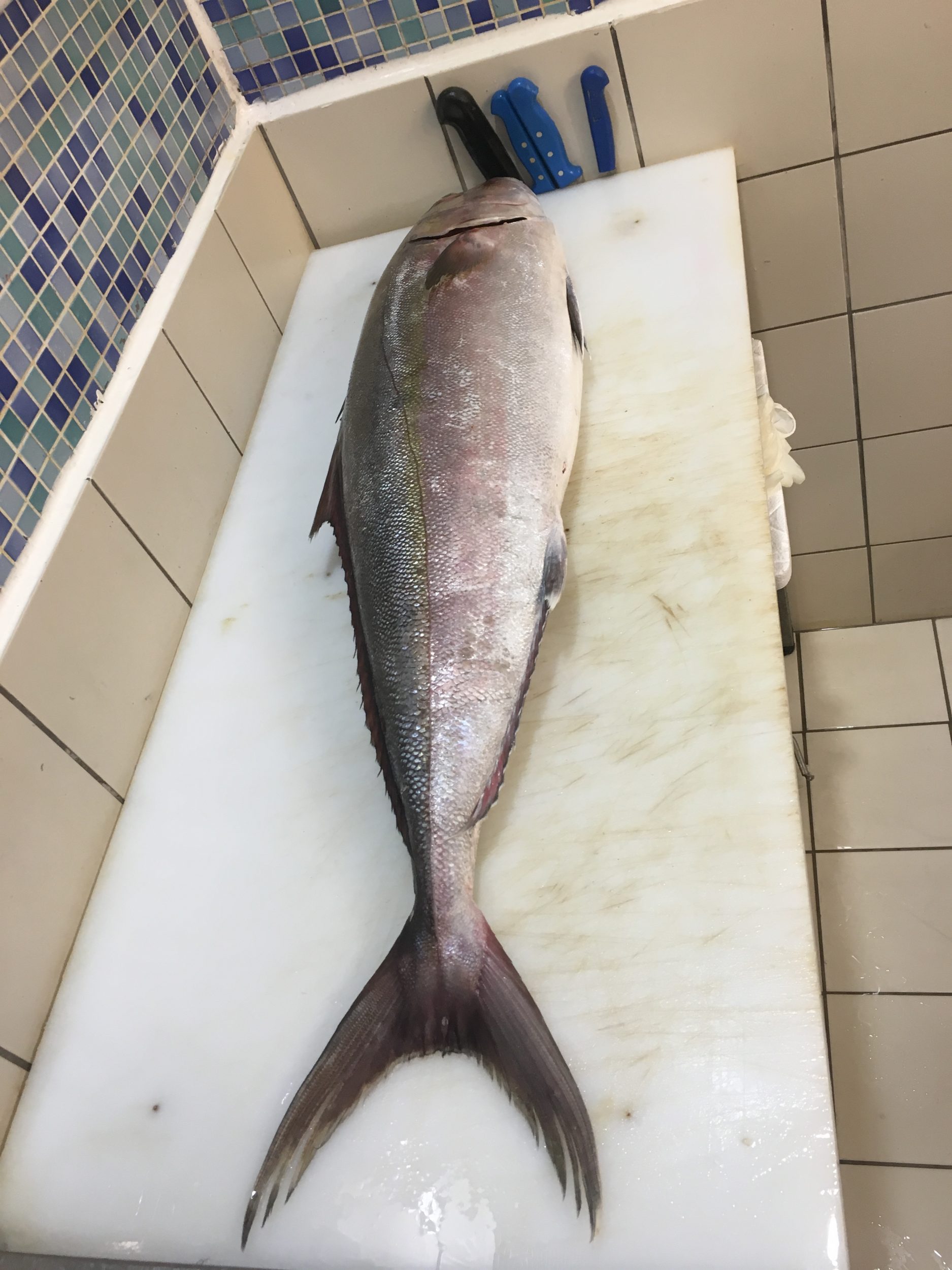 Akya Balığı Faydaları Ve Özelliği - Fisherselim